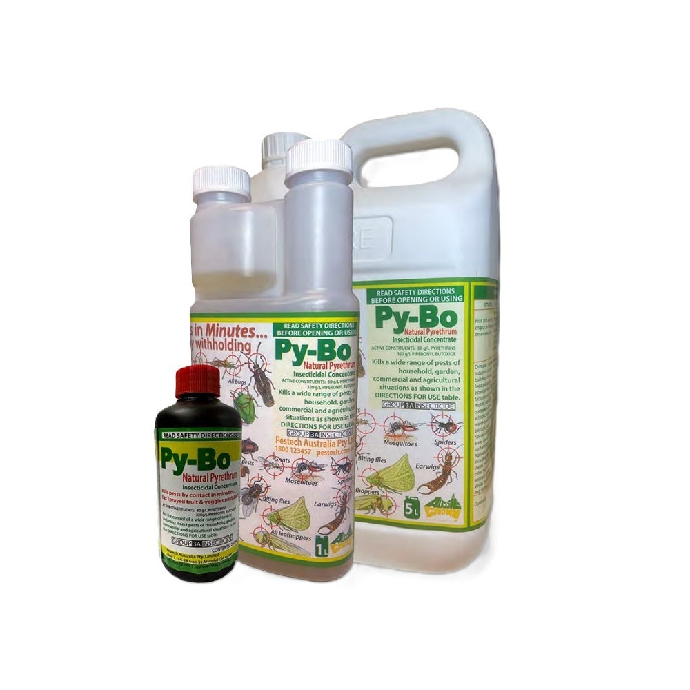 Natural Pyrethrum Chemical Concentrate Foggers Fogging Insecticide ...